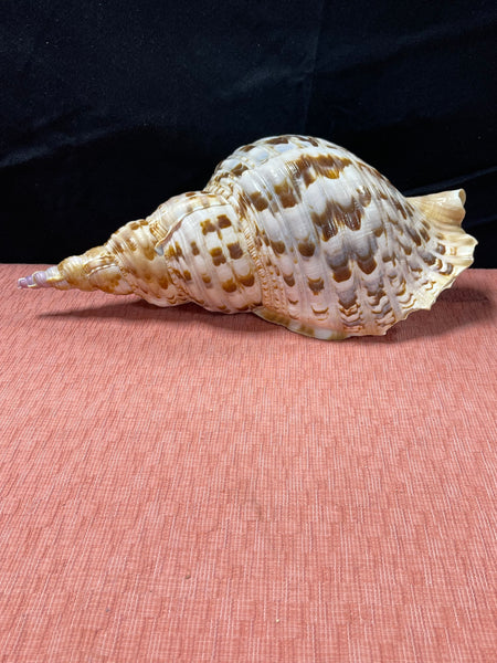 Home Decor – Williamsburg Estate Services